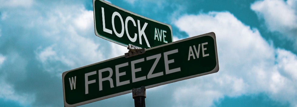 Credit Freeze vs Lock: What’s the Difference? | TransUnion